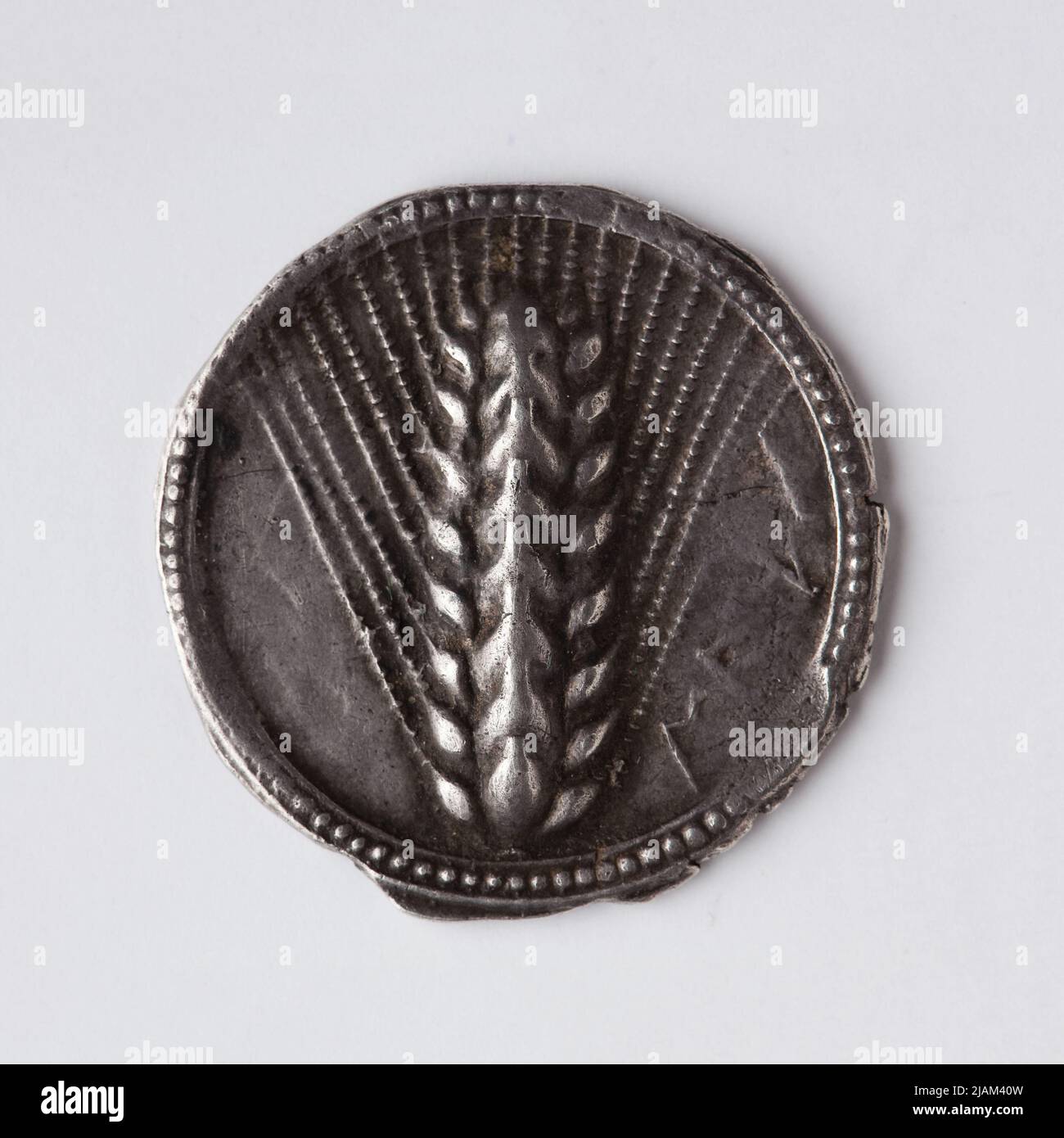 Lucania, Metaponto, Stater; Ca 540 510 BC Mint Metapont (Lucania Stock ...