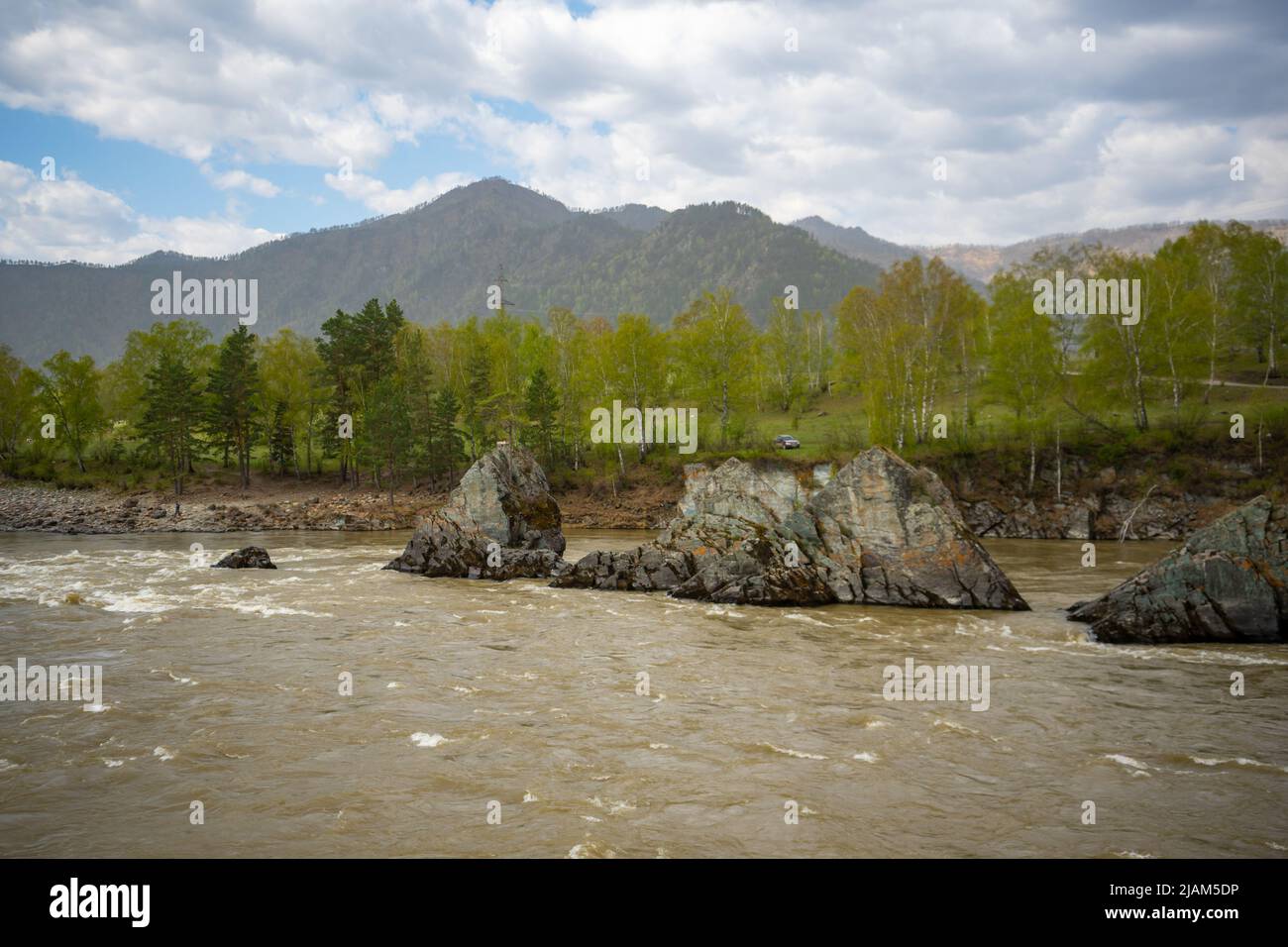 Remarkable natural objects - dragon teeth - in Katun river of Altai ...