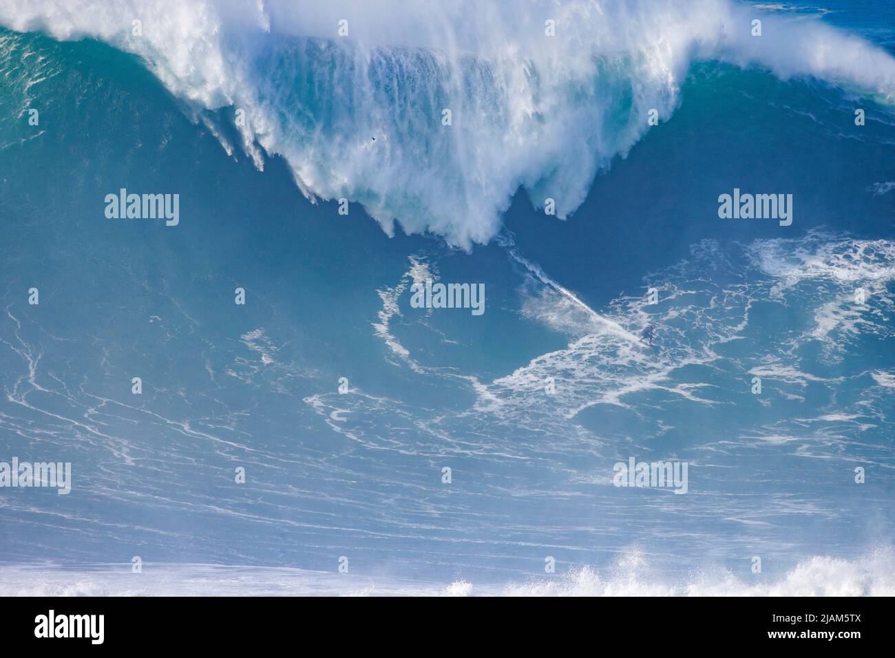 A new world record title has been officially recognized and awarded on ...