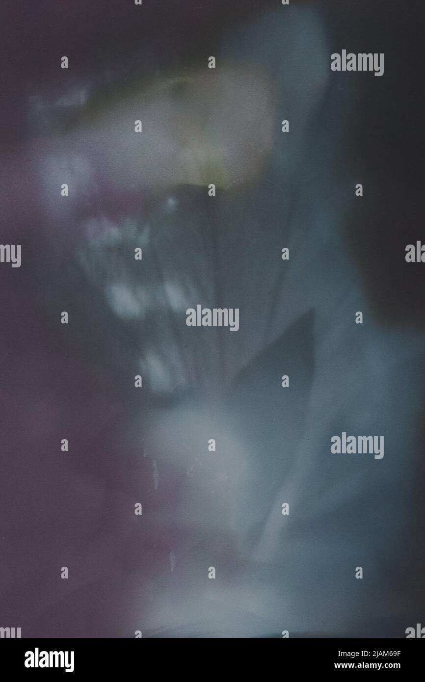 Abstract background fluid shapes color hi-res stock photography and ...