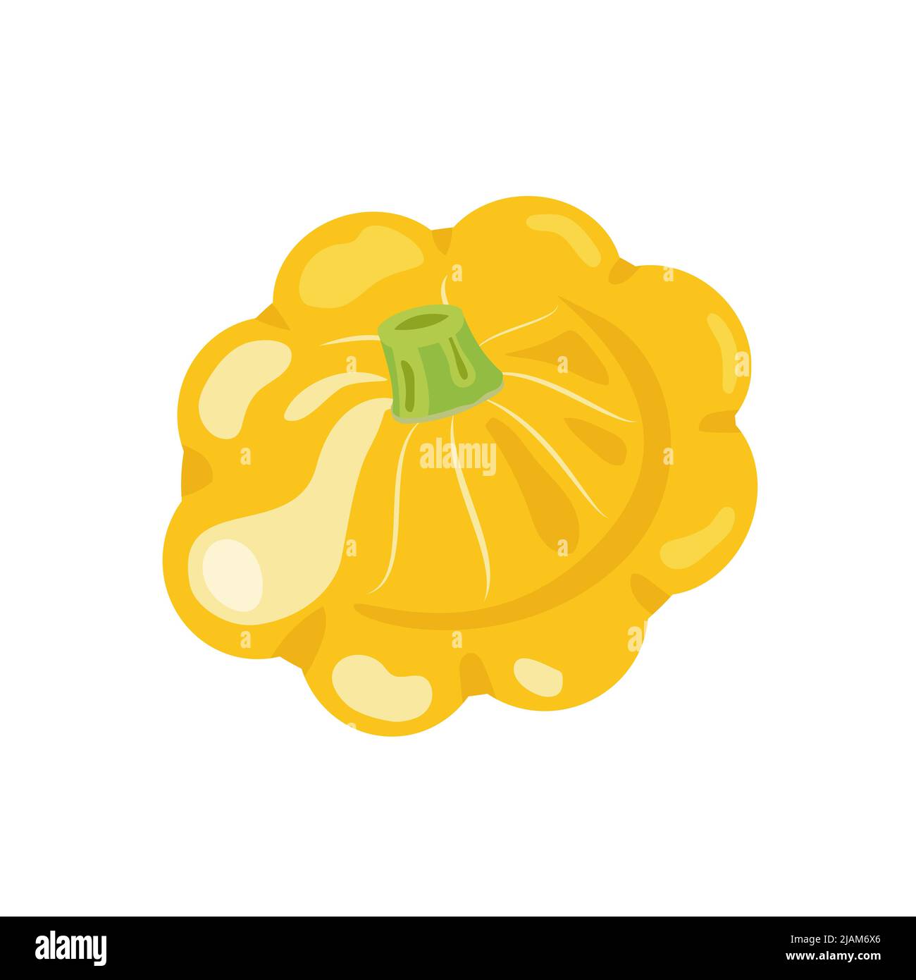 Yellow squash or patisson, flat style vector illustration isolated on ...