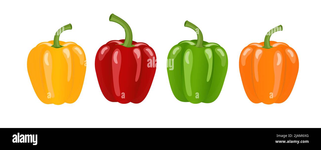 Colorful paprika peppers, banner, flat style vector illustration ...