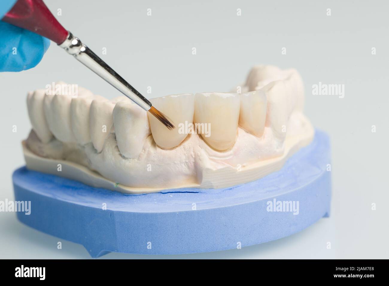 close-up of painting work on denture parts in dental laboratory Stock ...