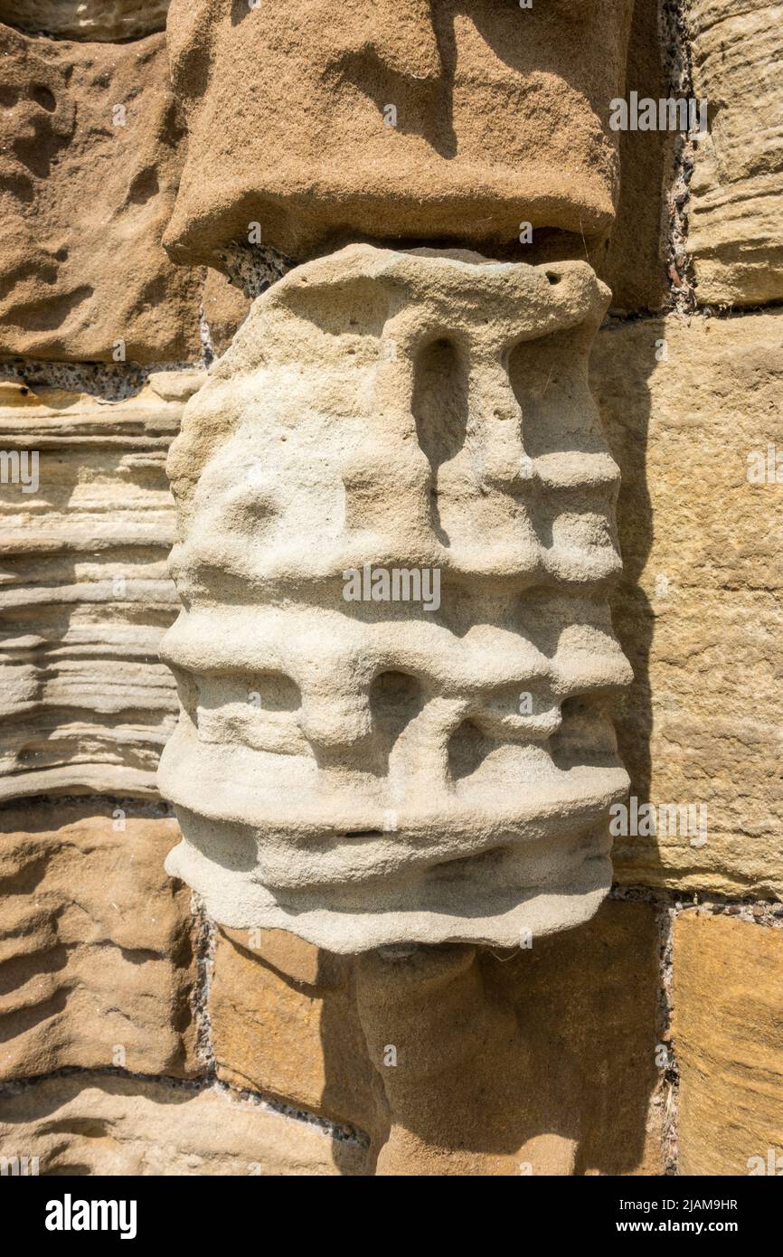 Detail showing erosion of the stonework in the ruins of Whitby Abbey ...