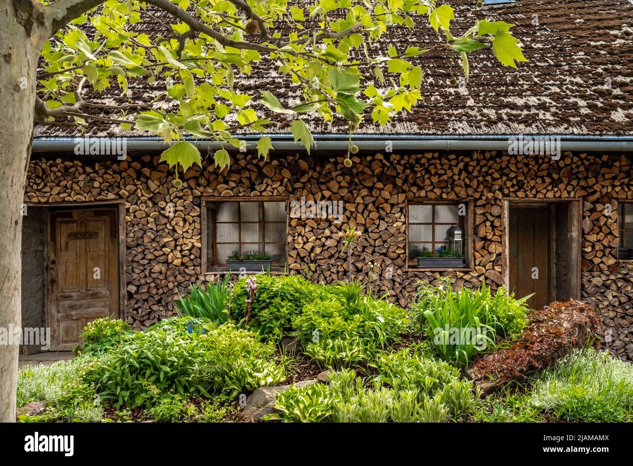 wooden barn in the countryside Stock Photo - Alamy