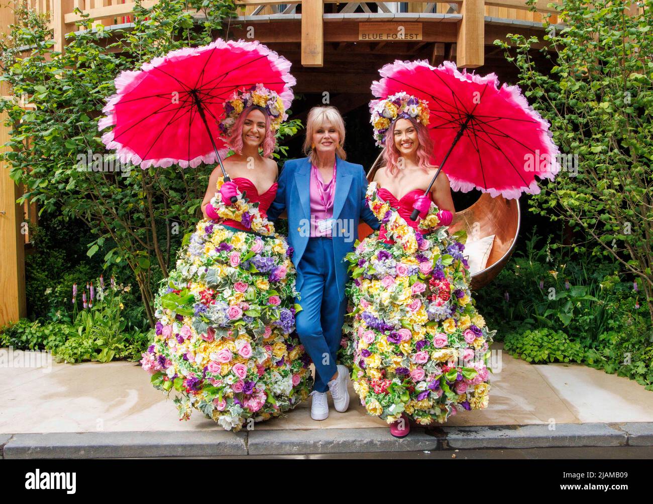 Joanna lumley model hi-res stock photography and images - Alamy
