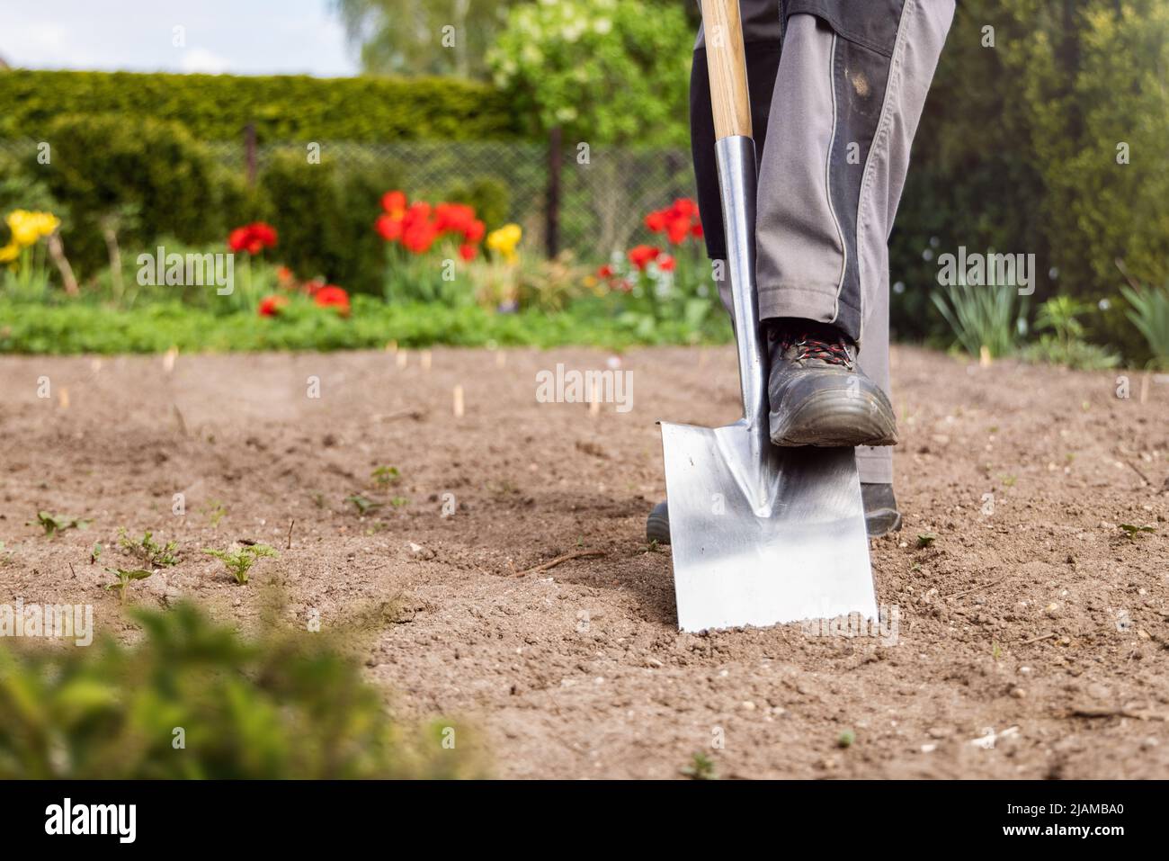 Spade soil hi-res stock photography and images - Alamy