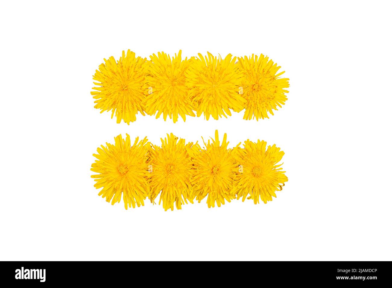 Equal sign hi-res stock photography and images - Alamy