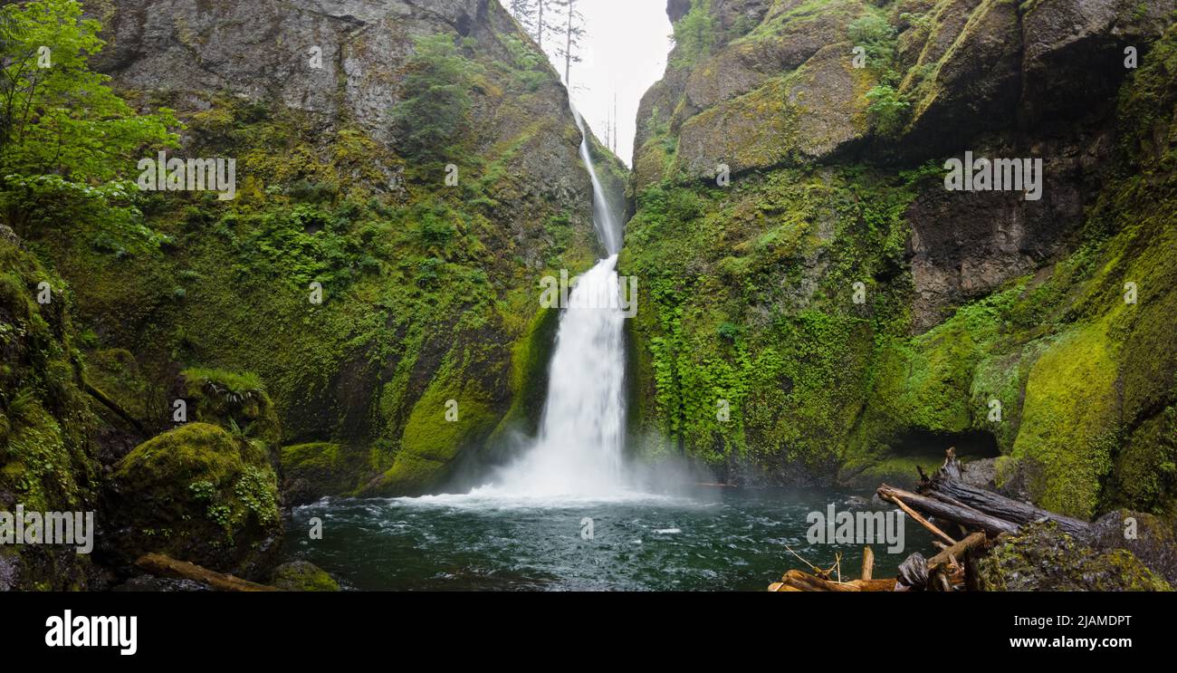 Oregon coast trails hi-res stock photography and images - Alamy