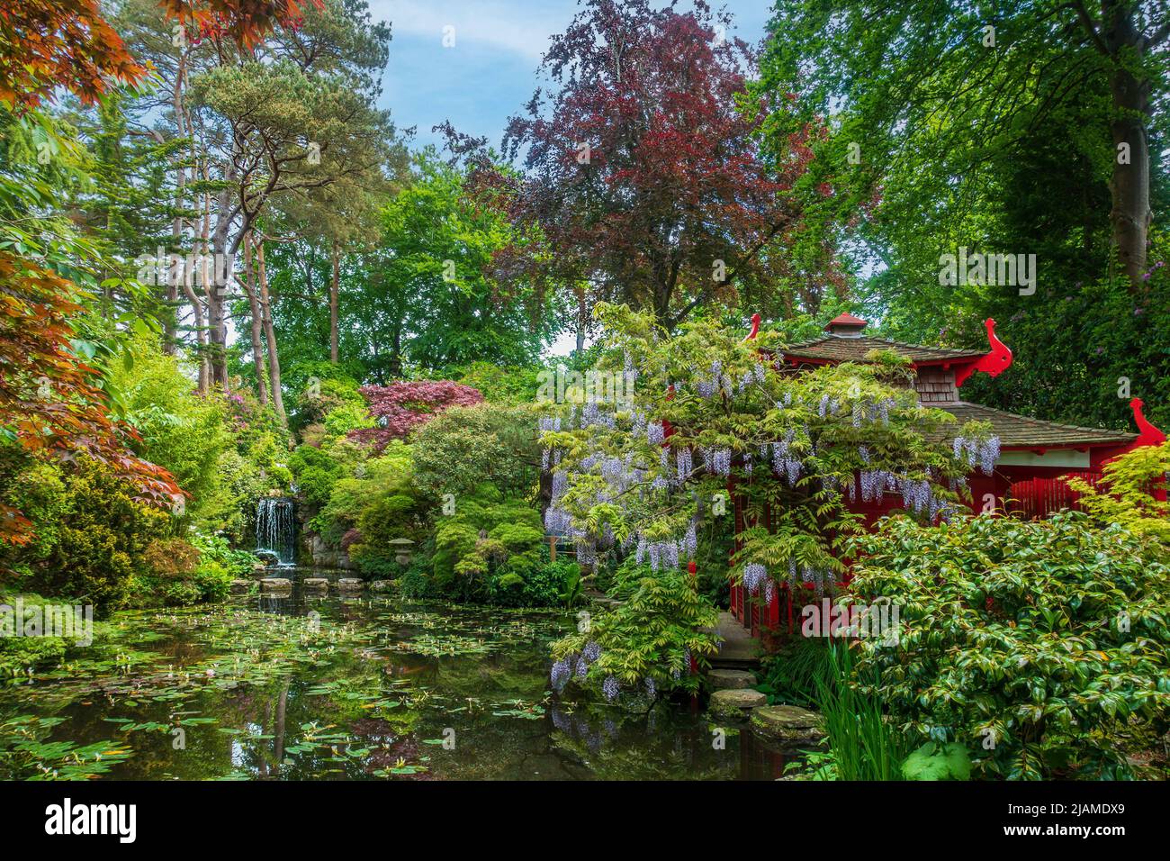 Japanese Garden,Compton Acres,Poole,Dorset,England Stock Photo - Alamy