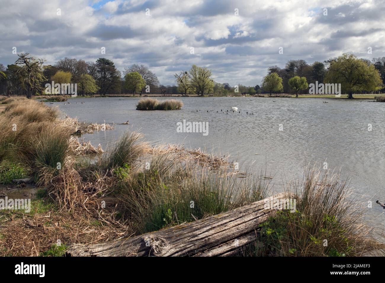Flora clouds and water in April spring time Stock Photo - Alamy