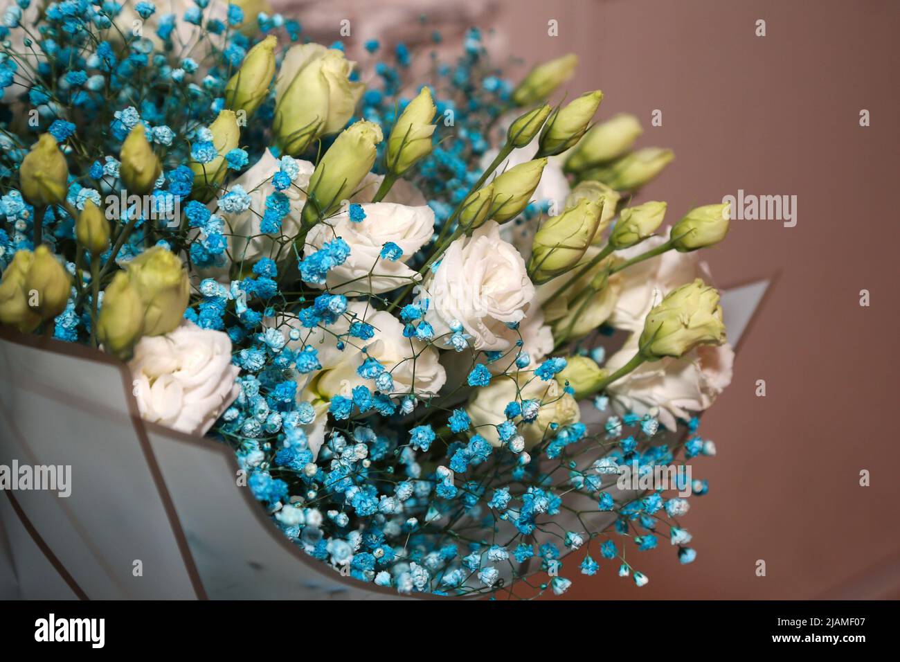 Eustoma gypsophila hi-res stock photography and images - Alamy