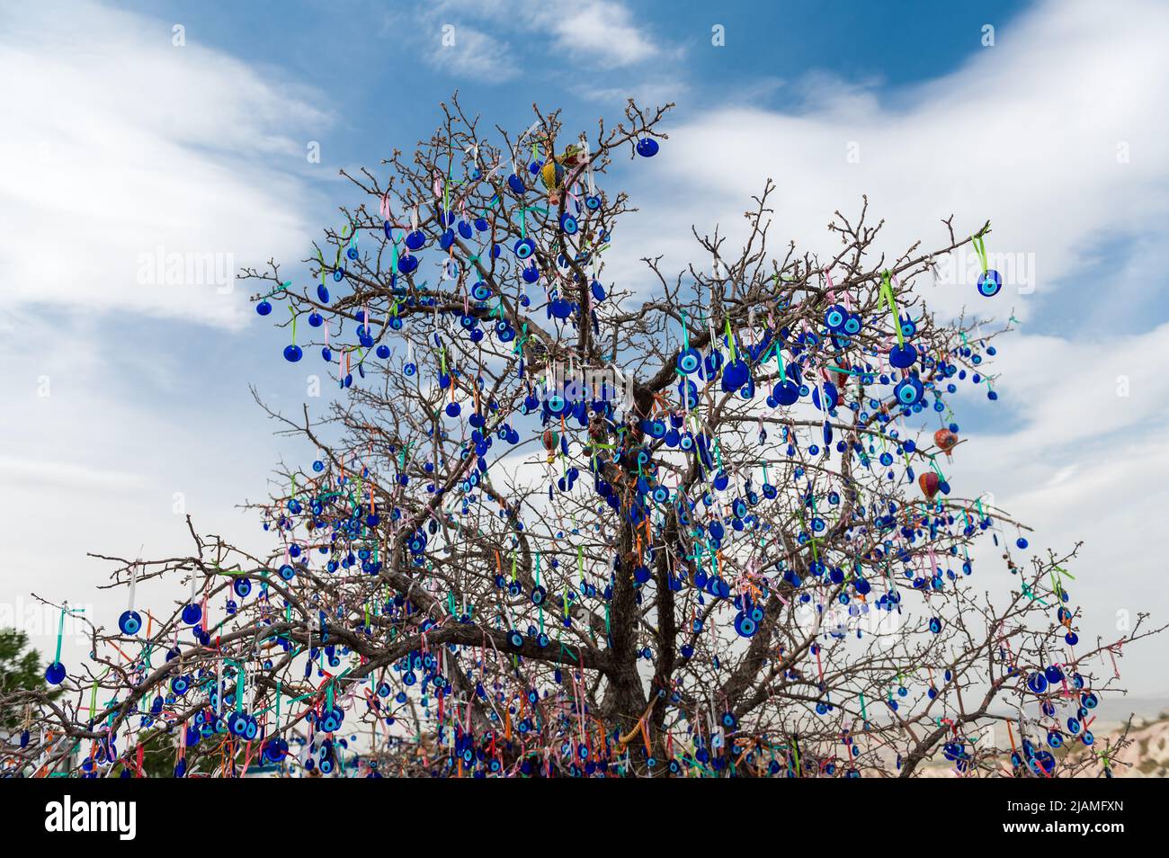 Turkish Eye glass beads on tree in Cappadocia Stock Photo - Alamy