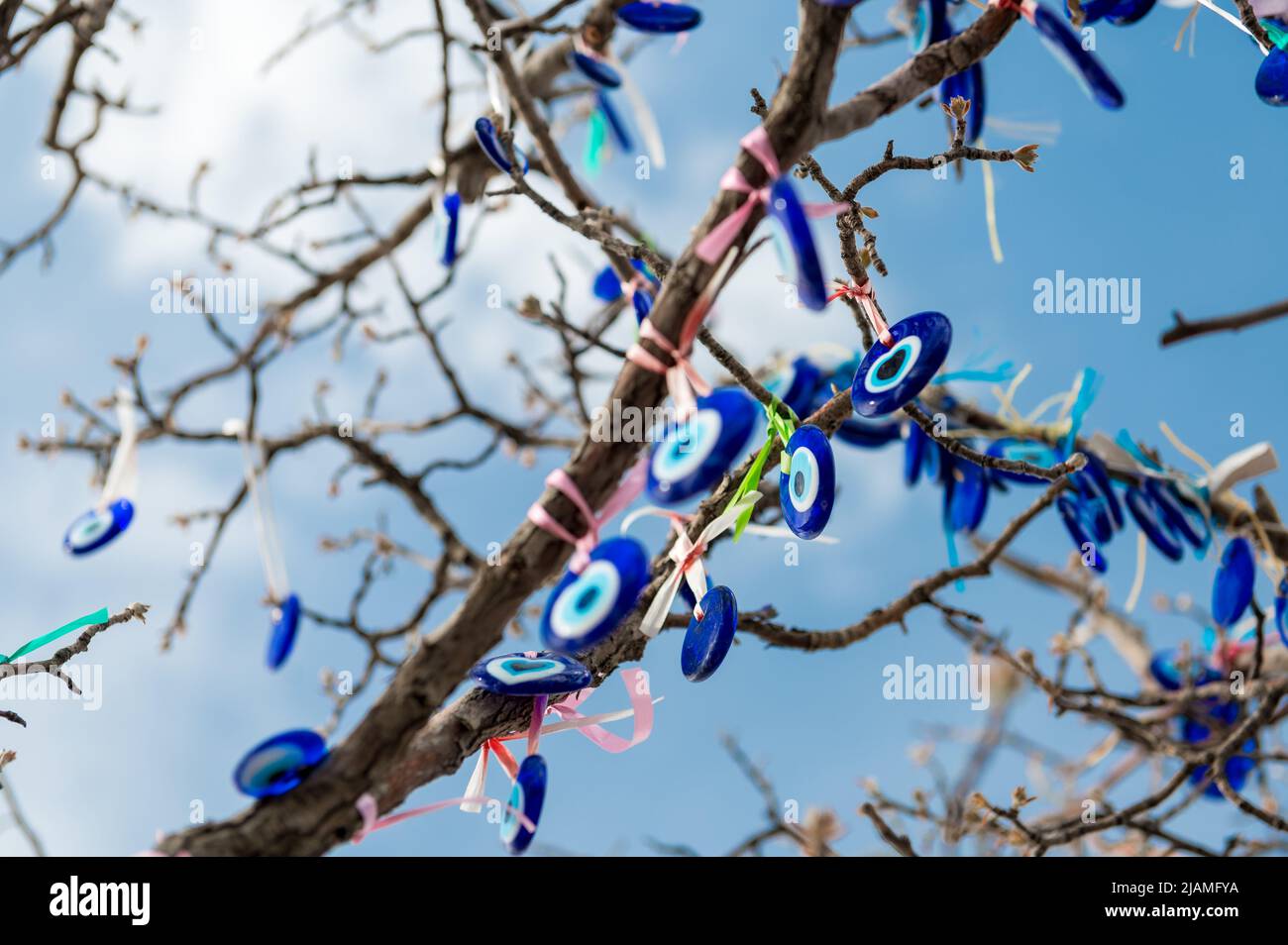 Turkish Eye glass beads on tree in Cappadocia Stock Photo - Alamy