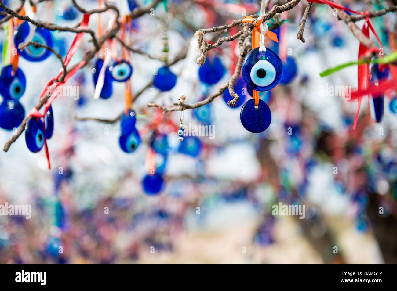 Turkish Eye glass beads on tree in Cappadocia Stock Photo - Alamy