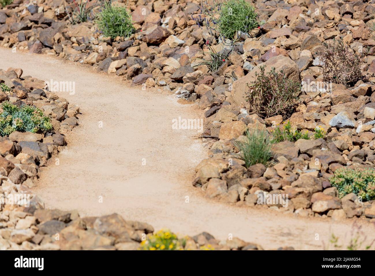 Rock garden Desert Gardening Ideas Stock Photo - Alamy