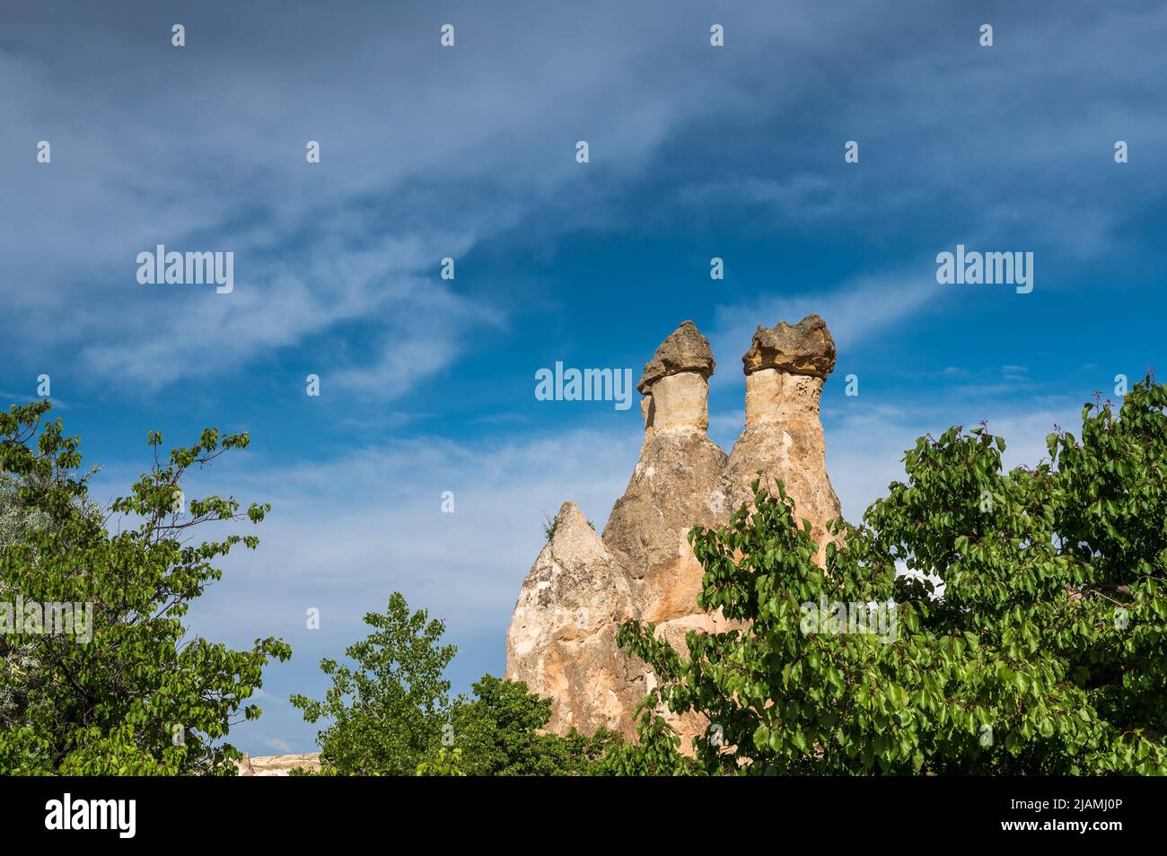 fairy chimneys in the desert of Cappadocia at Pasabag Stock Photo - Alamy