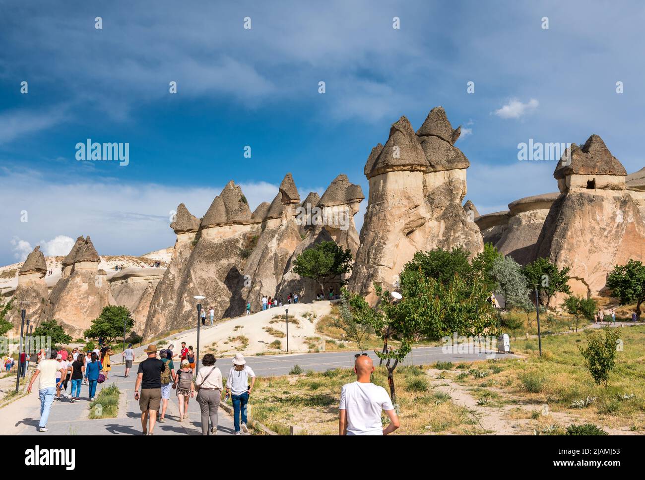 fairy chimneys in the desert of Cappadocia at Pasabag Stock Photo - Alamy