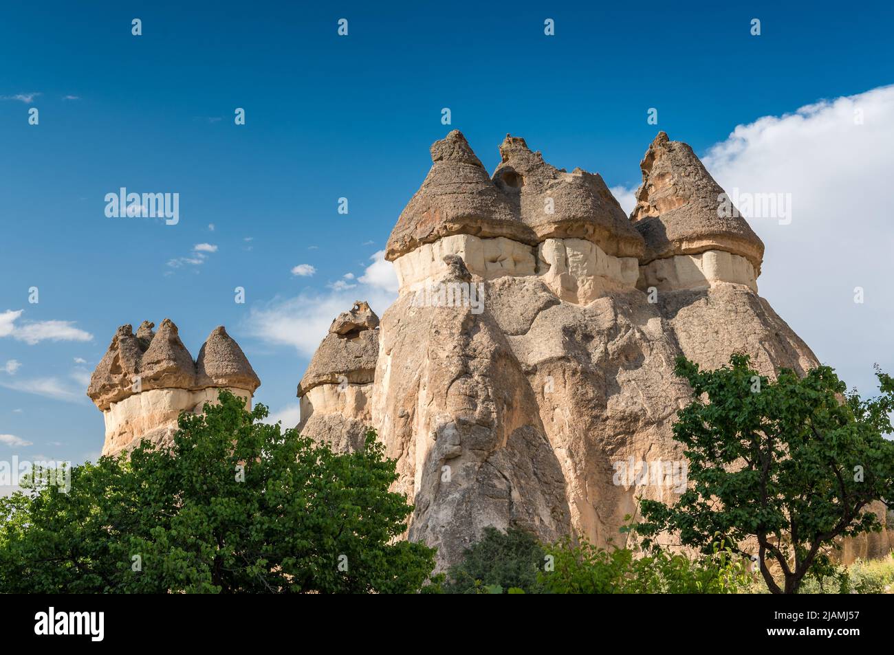 fairy chimneys in Pasabag in Cappadocia Stock Photo - Alamy