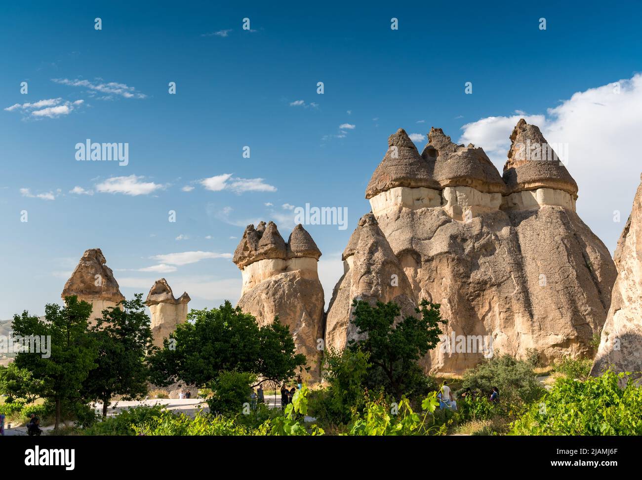 fairy chimneys in Pasabag in Cappadocia Stock Photo - Alamy
