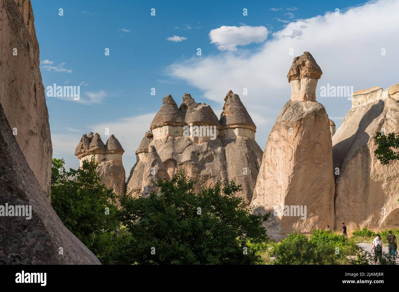 fairy chimneys in Pasabag in Cappadocia Stock Photo - Alamy
