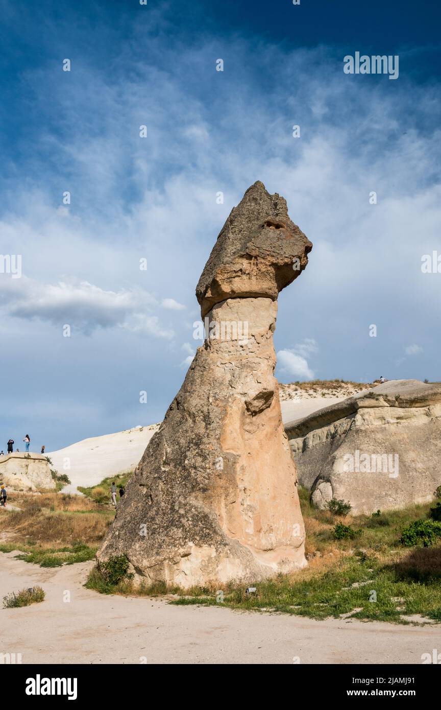 fairy chimneys in Pasabag in Cappadocia Stock Photo - Alamy