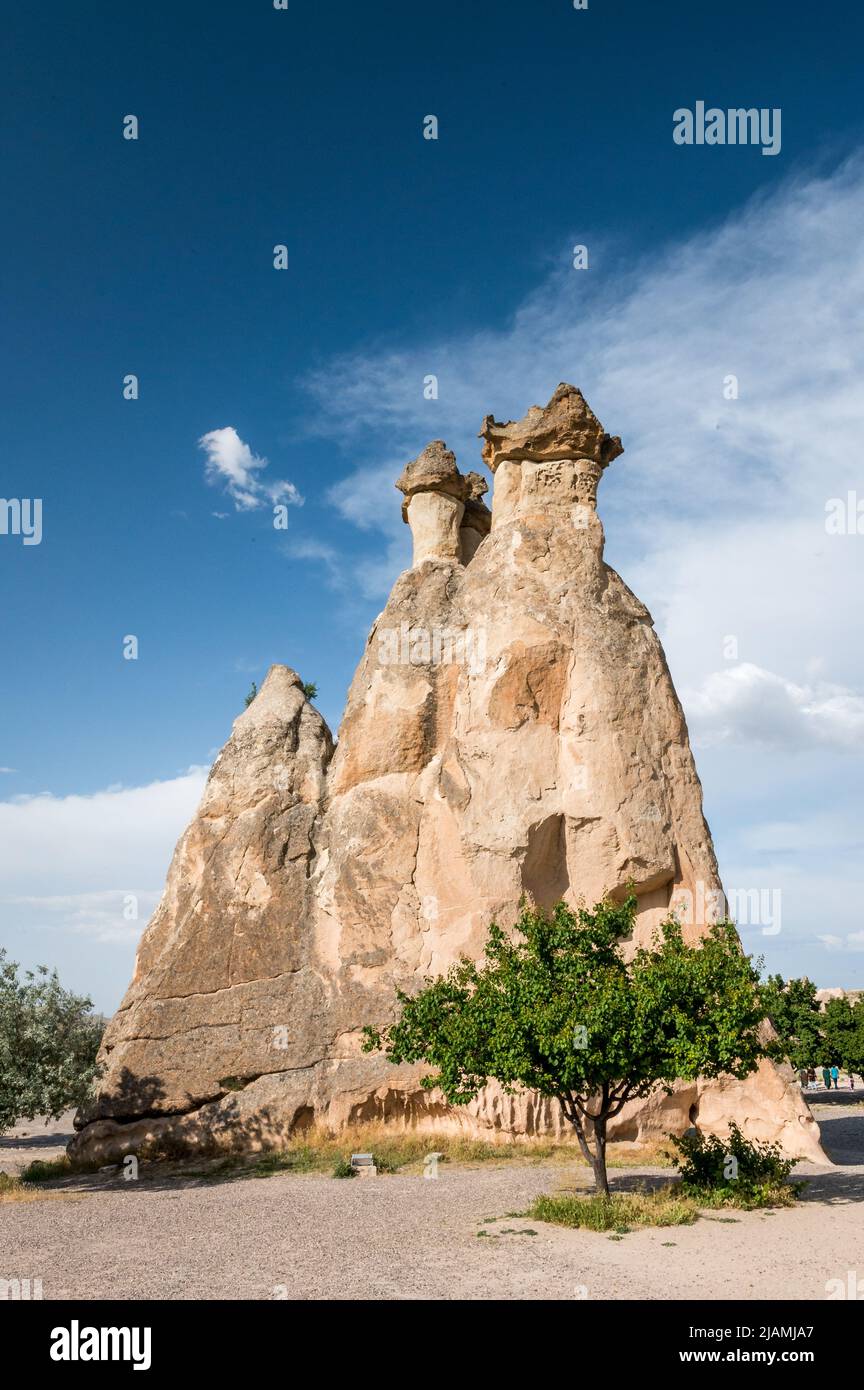 fairy chimneys in Pasabag in Cappadocia Stock Photo - Alamy