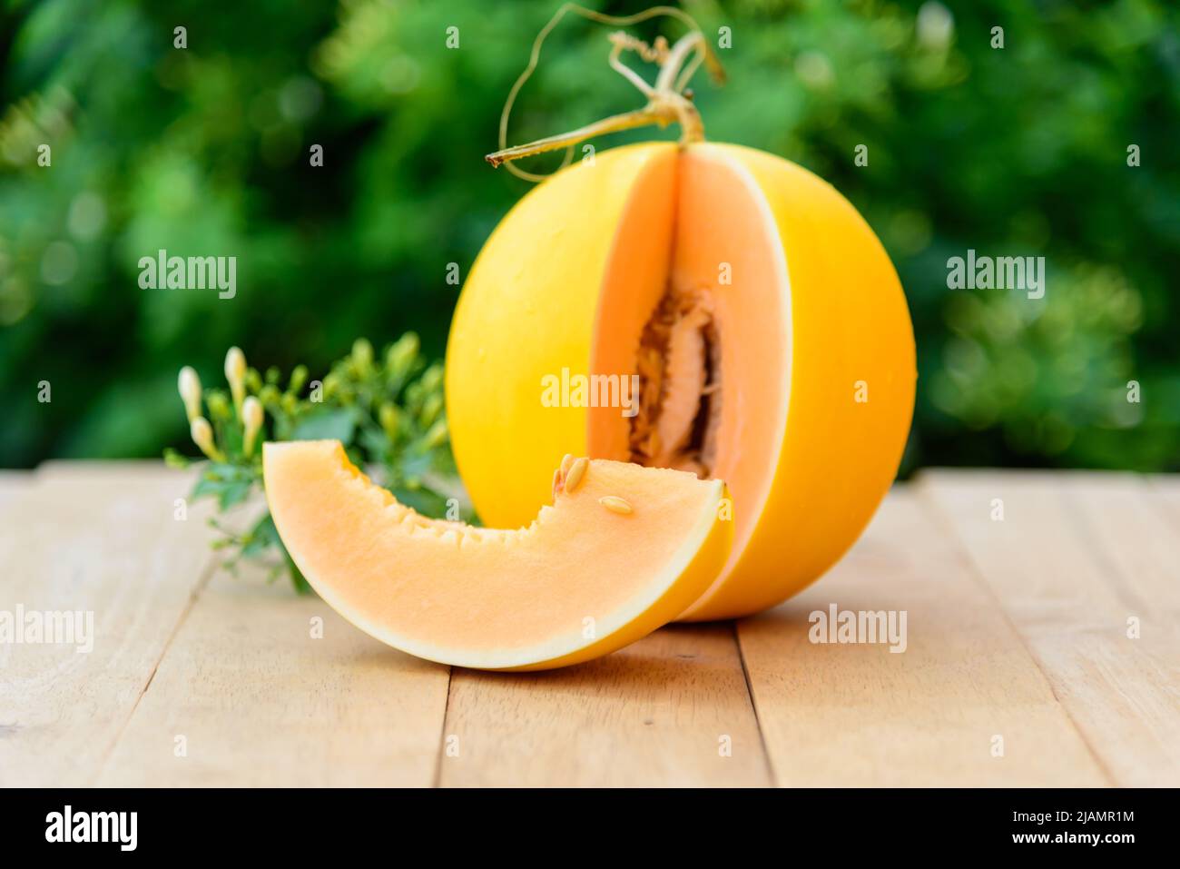 fresh sweet golden melon in white dish Stock Photo - Alamy