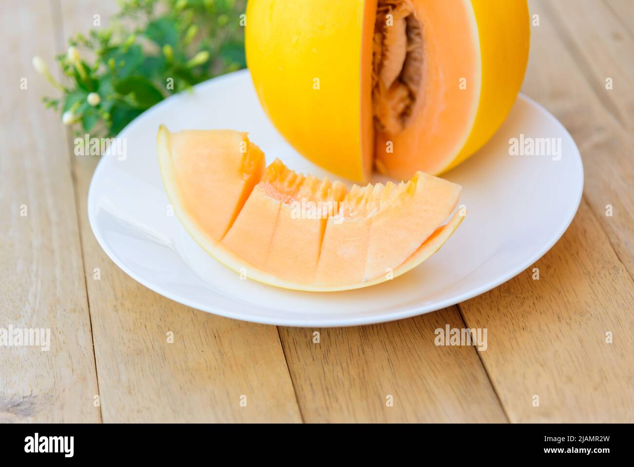 Well draining soil hi-res stock photography and images - Alamy