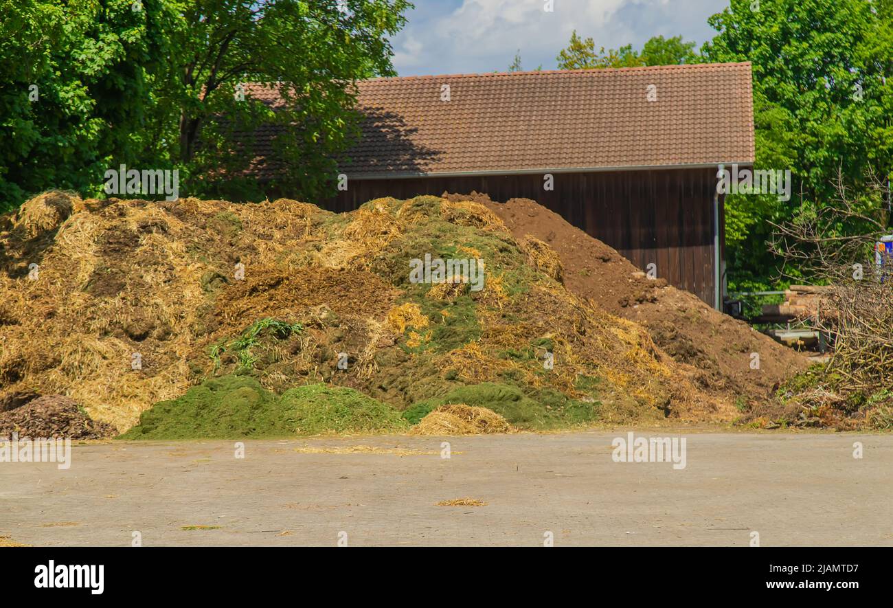 Pile of manure on the farm. Selective focus Stock Photo - Alamy