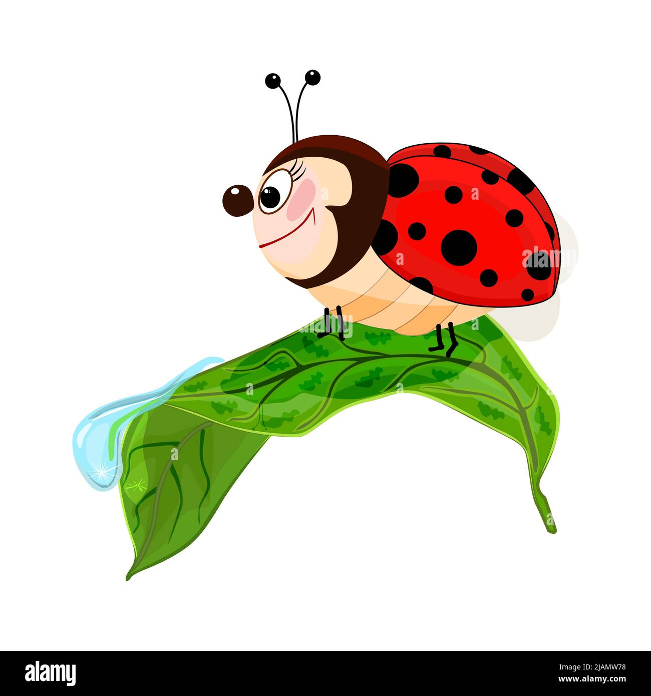 Marybeetle Stock Vector Images - Alamy
