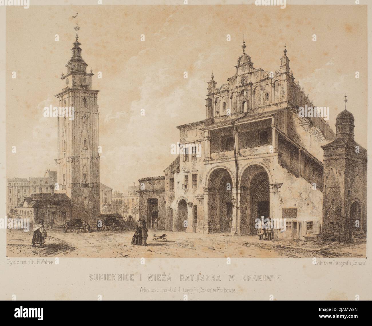 Sukiennice (Cloth Hall) and Town Hall Tower in Kraków Walter, Henryk ...