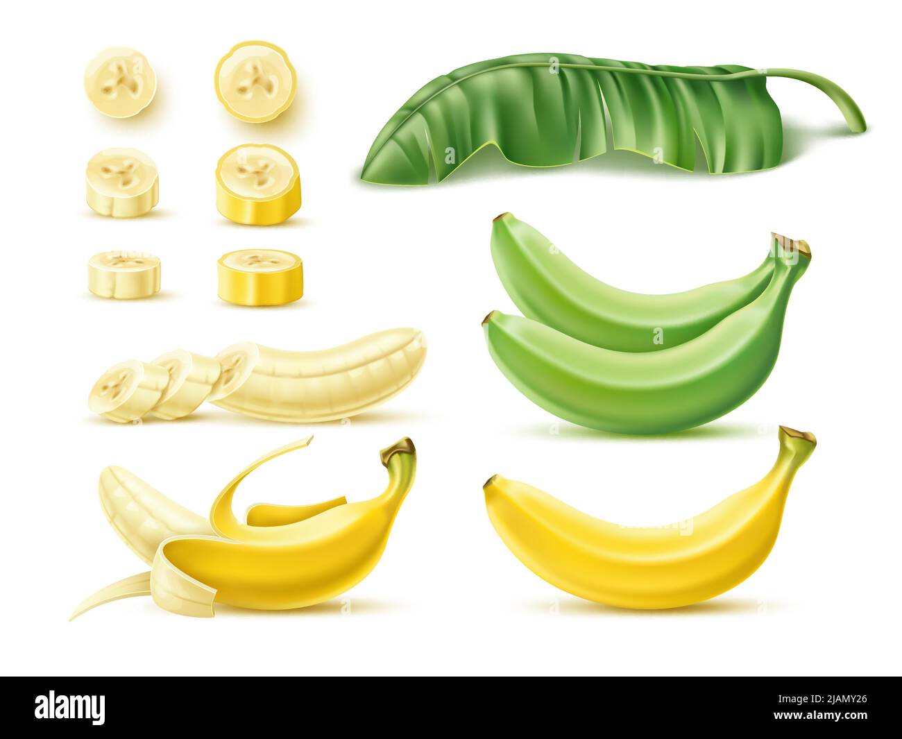 Fresh cut raw yellow Stock Vector Images - Alamy