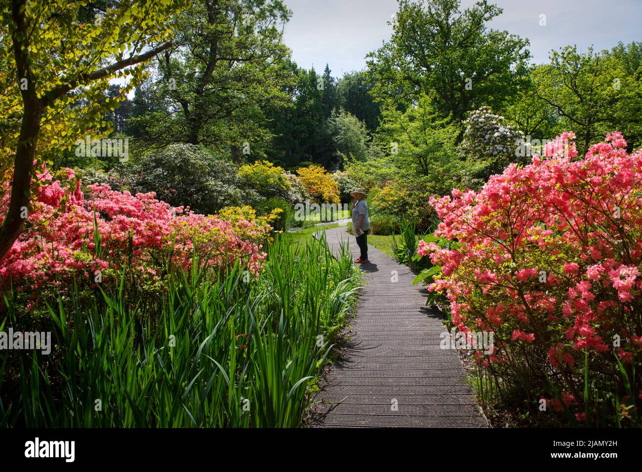 Norfolk Broads How Hill Secret Garden Norfolk England May 2022 How Hill ...