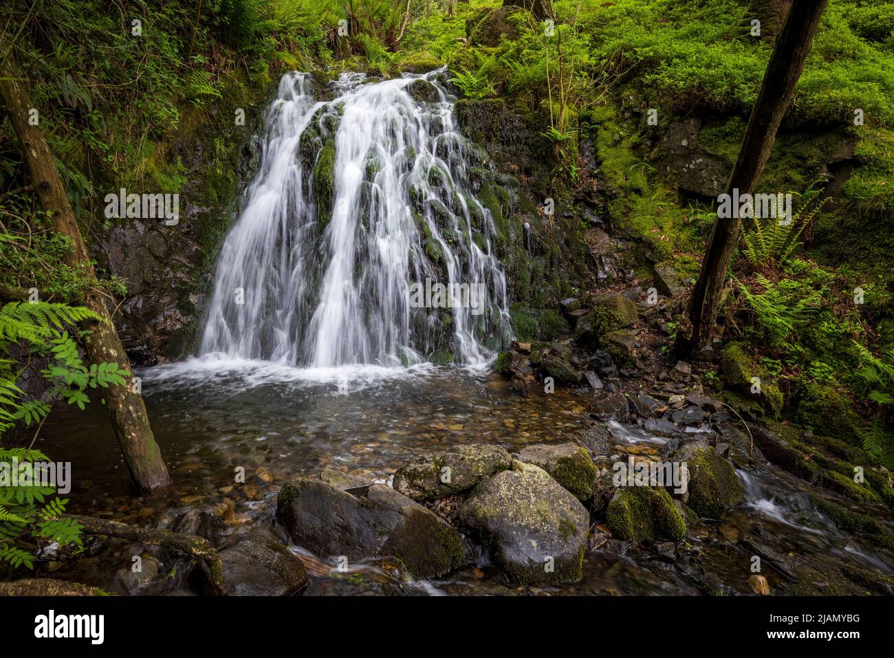 The waterfalls of Tom Gill below Tarn Hows, Lake District, England ...