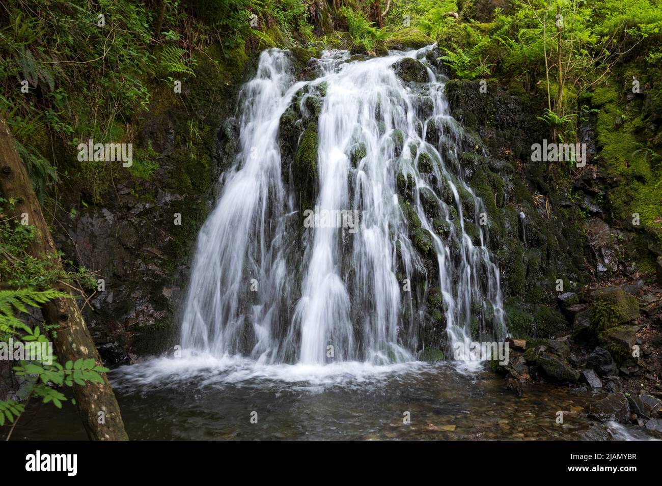 The waterfalls of Tom Gill below Tarn Hows, Lake District, England ...