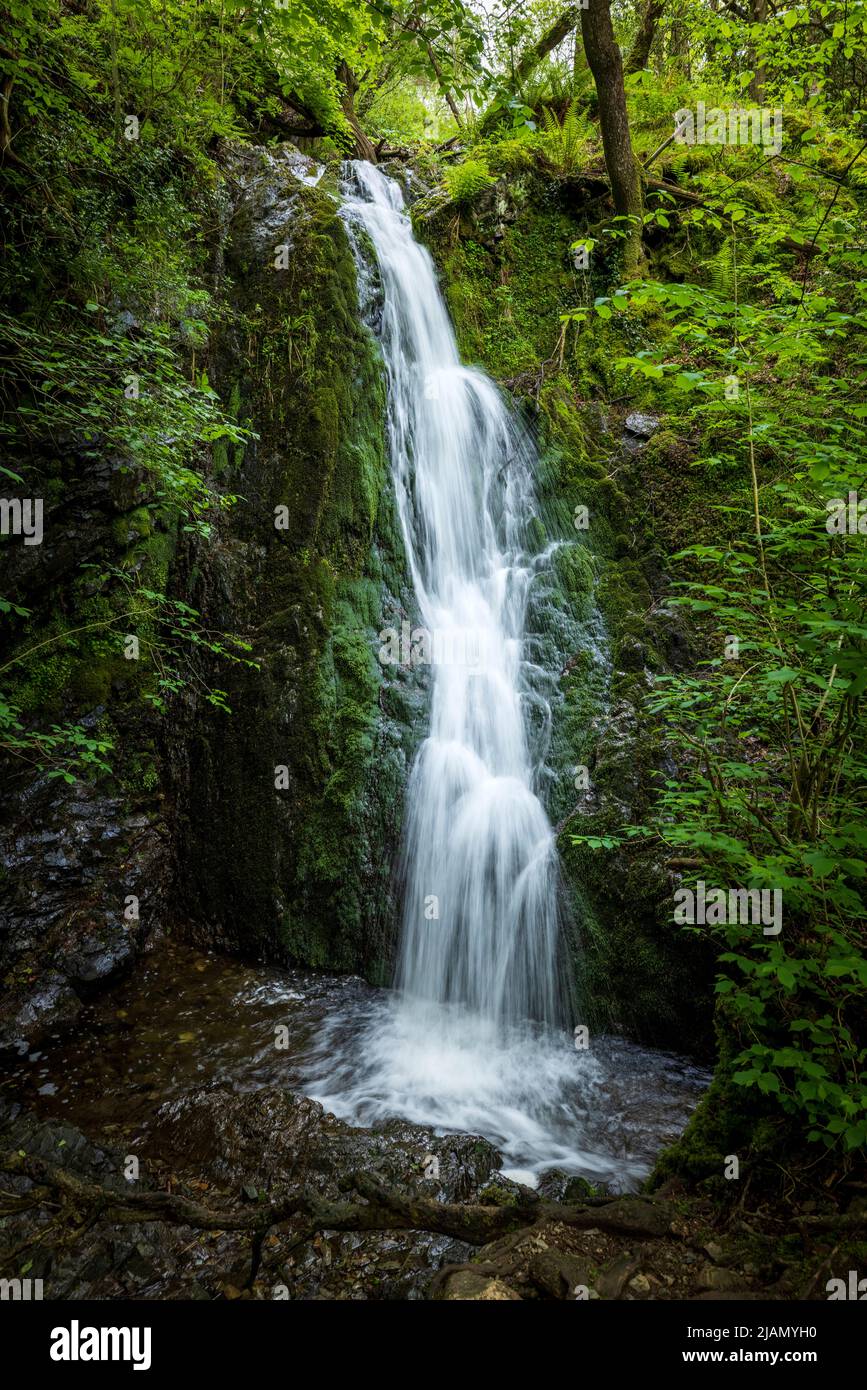 The waterfalls of Tom Gill below Tarn Hows, Lake District, England ...