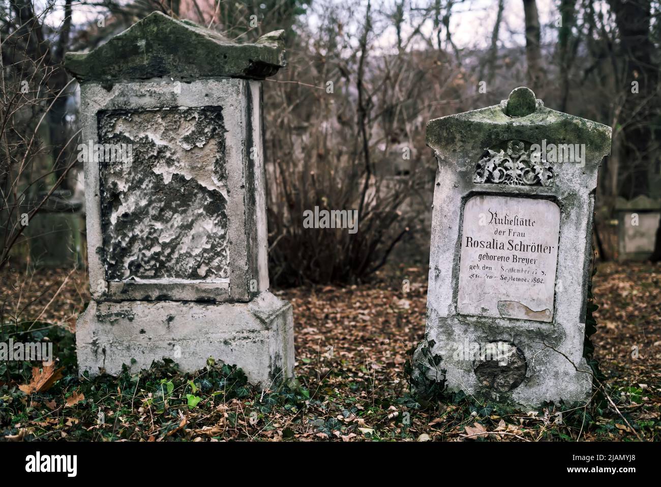 Broken Headstones on Old Abandoned Cemetery Stock Photo - Alamy