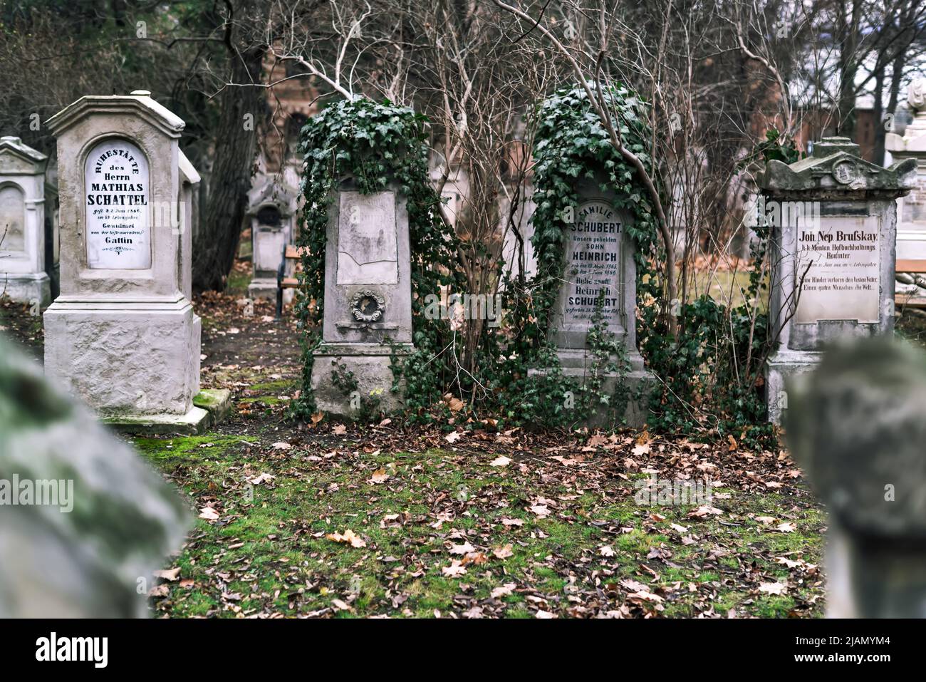 Overgrown Headstones on Saint Marx Cemetery Stock Photo - Alamy