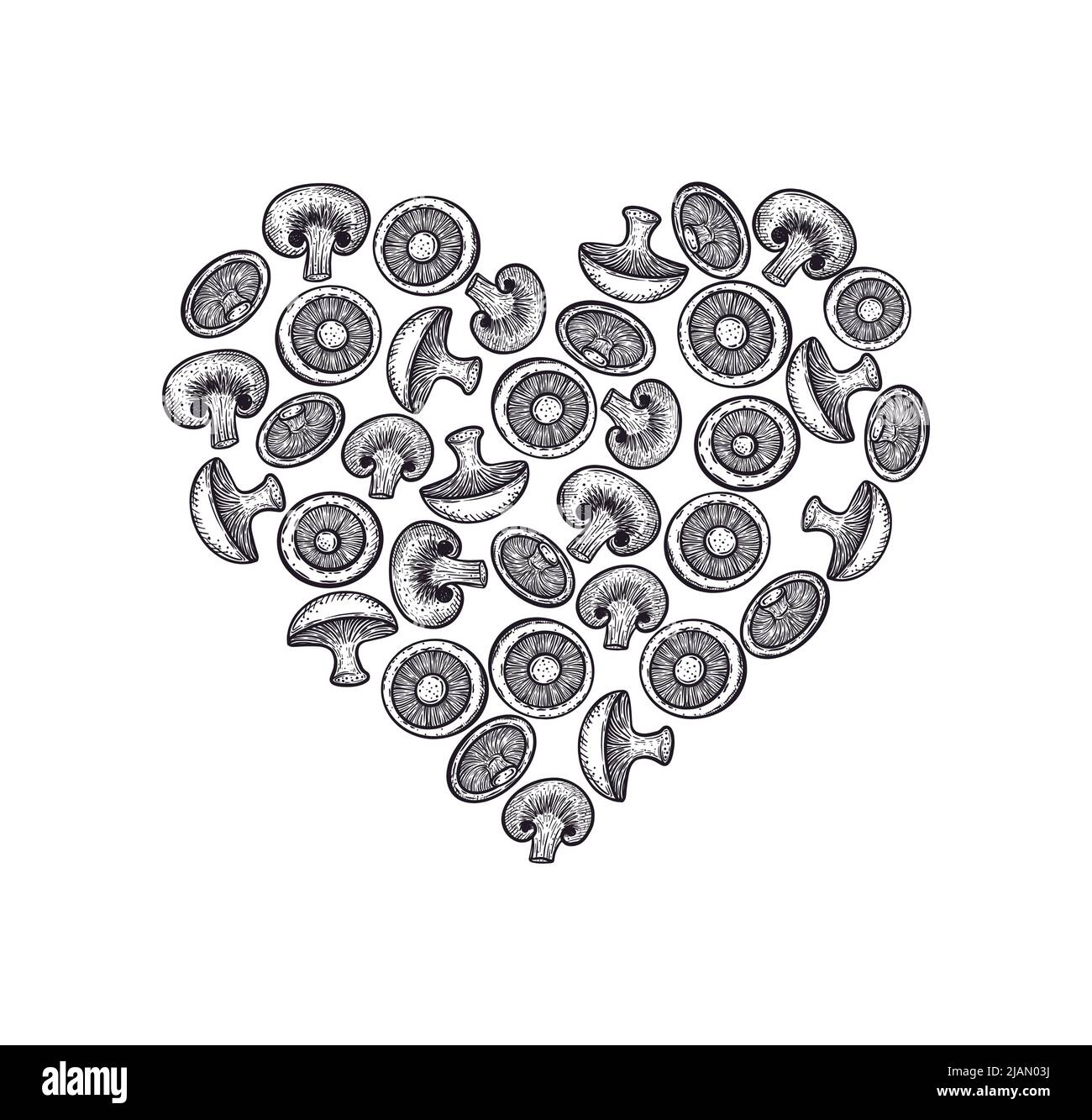 Raw champignons Stock Vector Images - Alamy