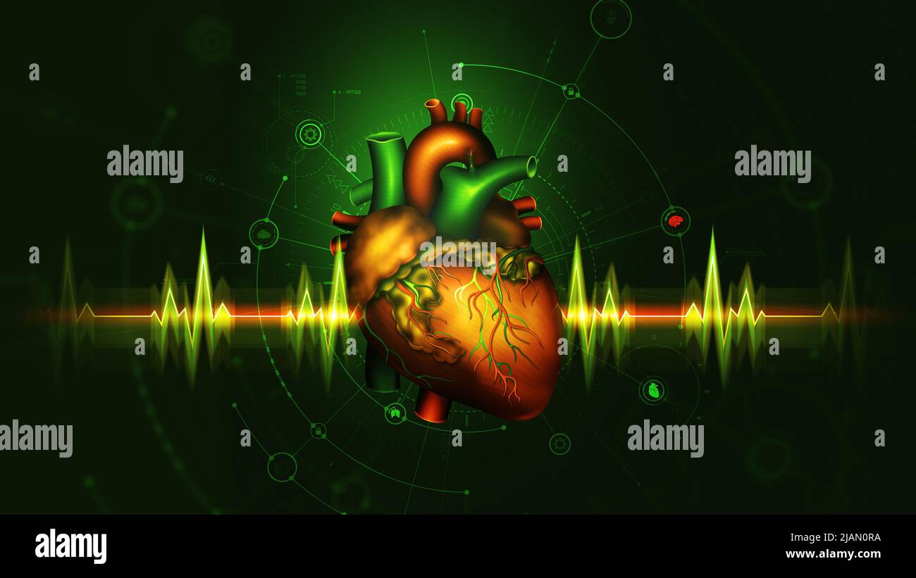 Cardiology. Innovation in science. Human heart anatomy 3D illustration ...