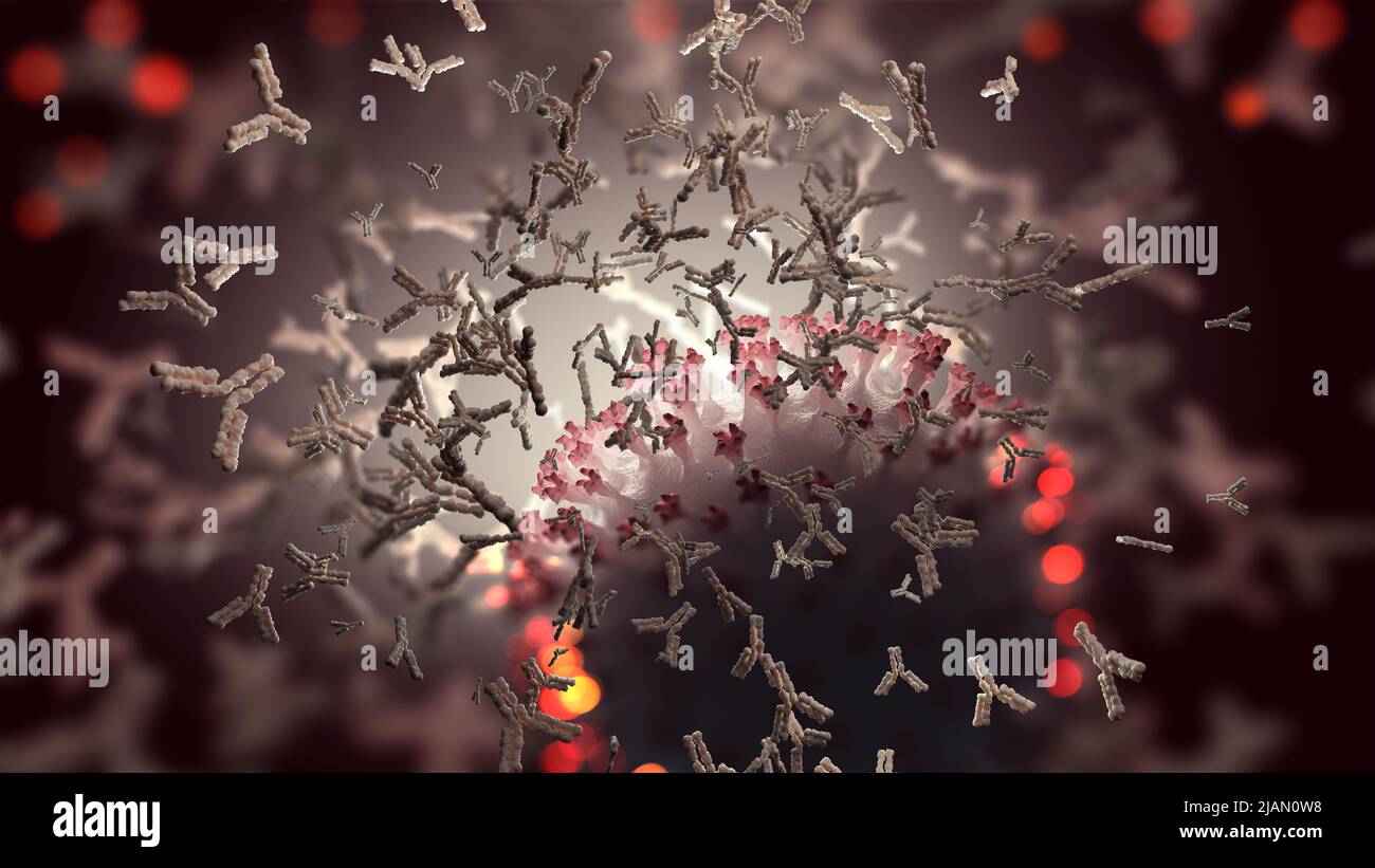 Virus in body. Antibodies in blood. Vaccine. Antibody production ...