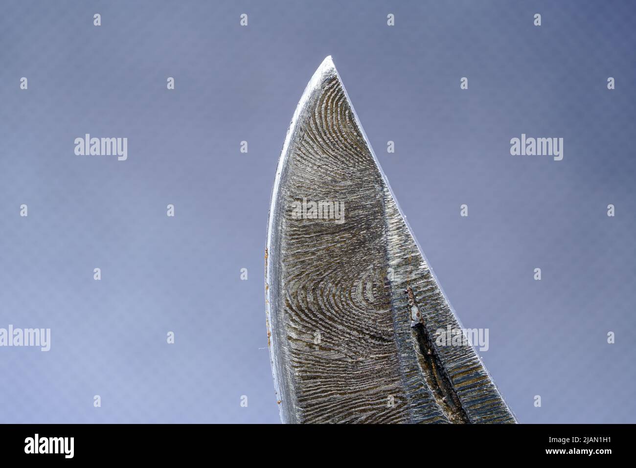 Damask hand-forged knife made of several layers of steel with an ...