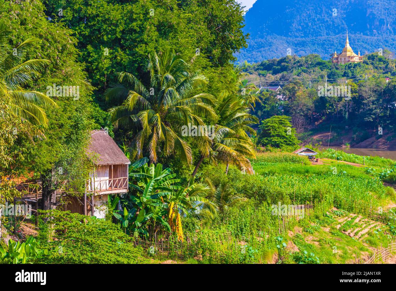 Natural jungle panorama of the landscape Mekong river and Luang Prabang ...