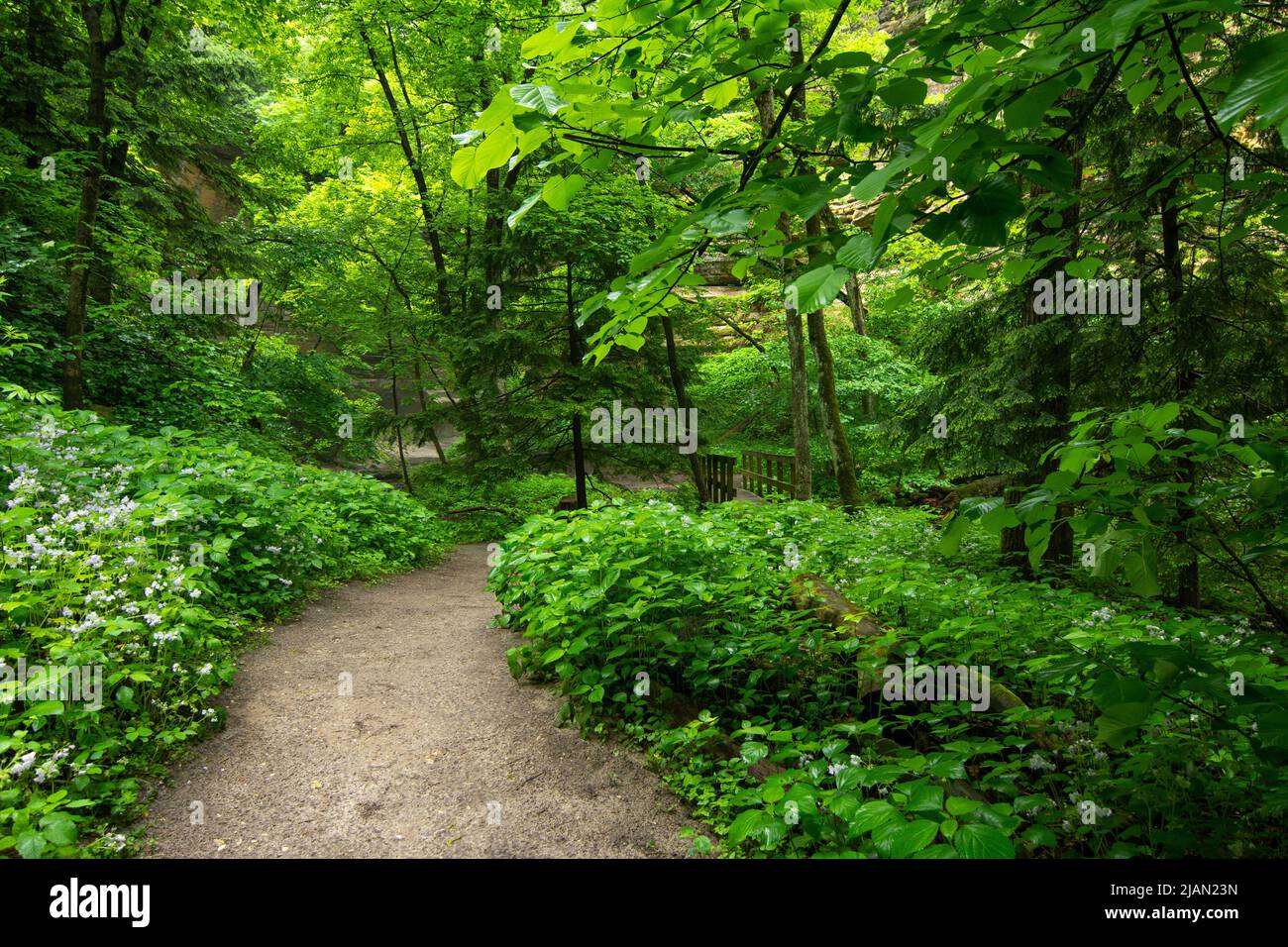 Trails in St. Louis canyon Stock Photo - Alamy