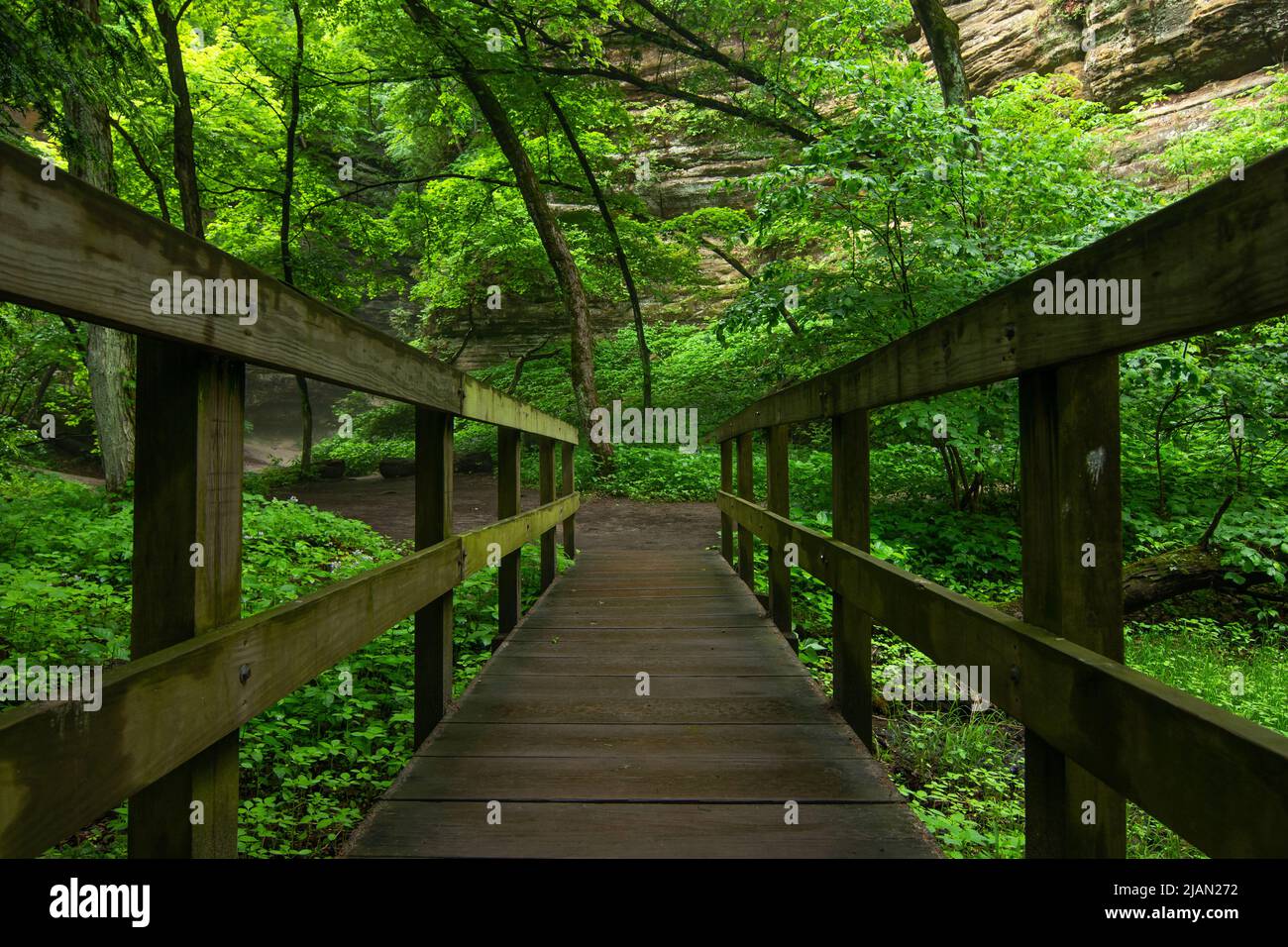 Trails in St. Louis canyon Stock Photo - Alamy