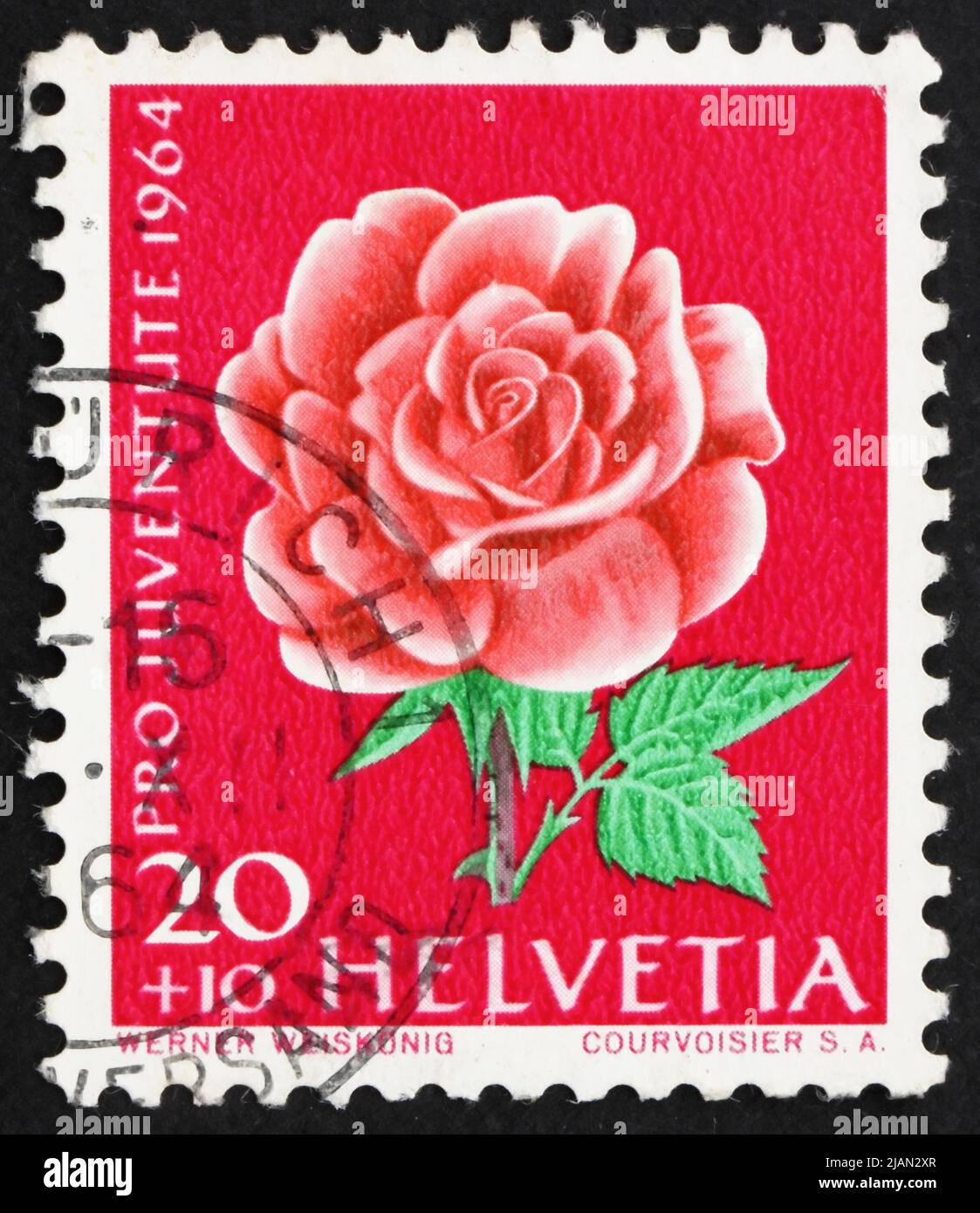 SWITZERLAND - CIRCA 1964: a stamp printed in the Switzerland shows Rose ...