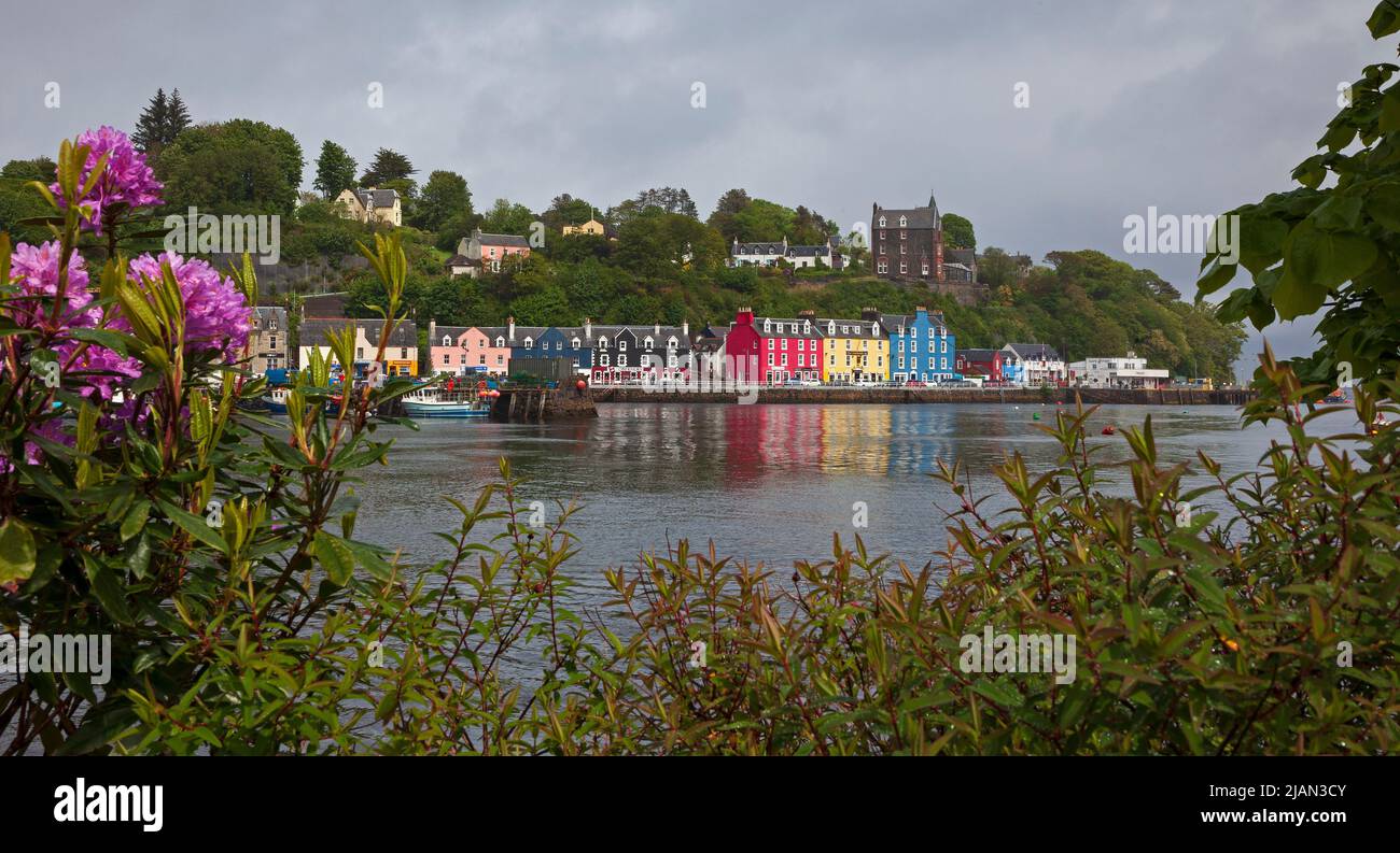 Coloured houses of Tobermory, Isle of Mull, Scotland, UK Stock Photo ...