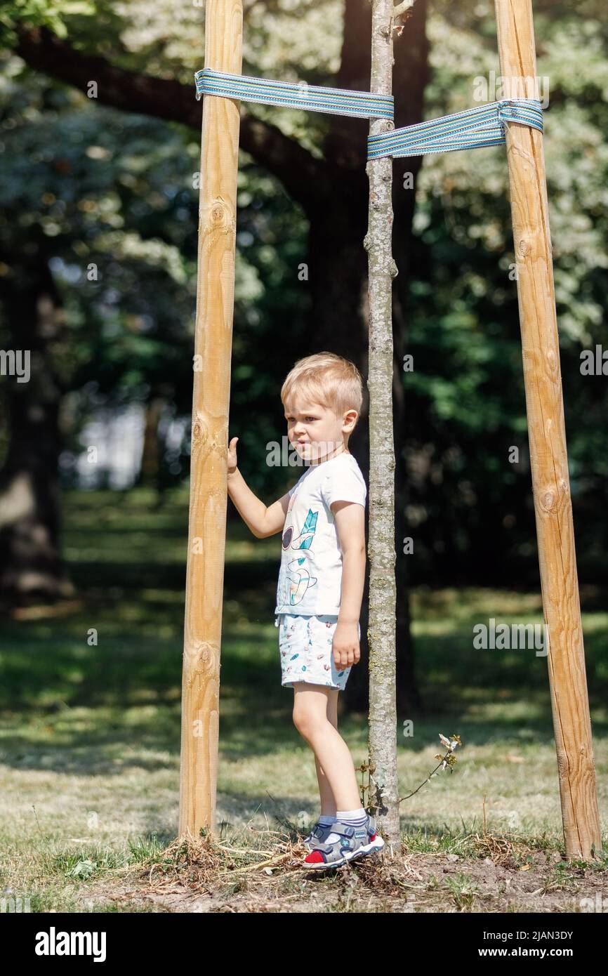 A little boy stands next to a small, recently planted tree in a city ...