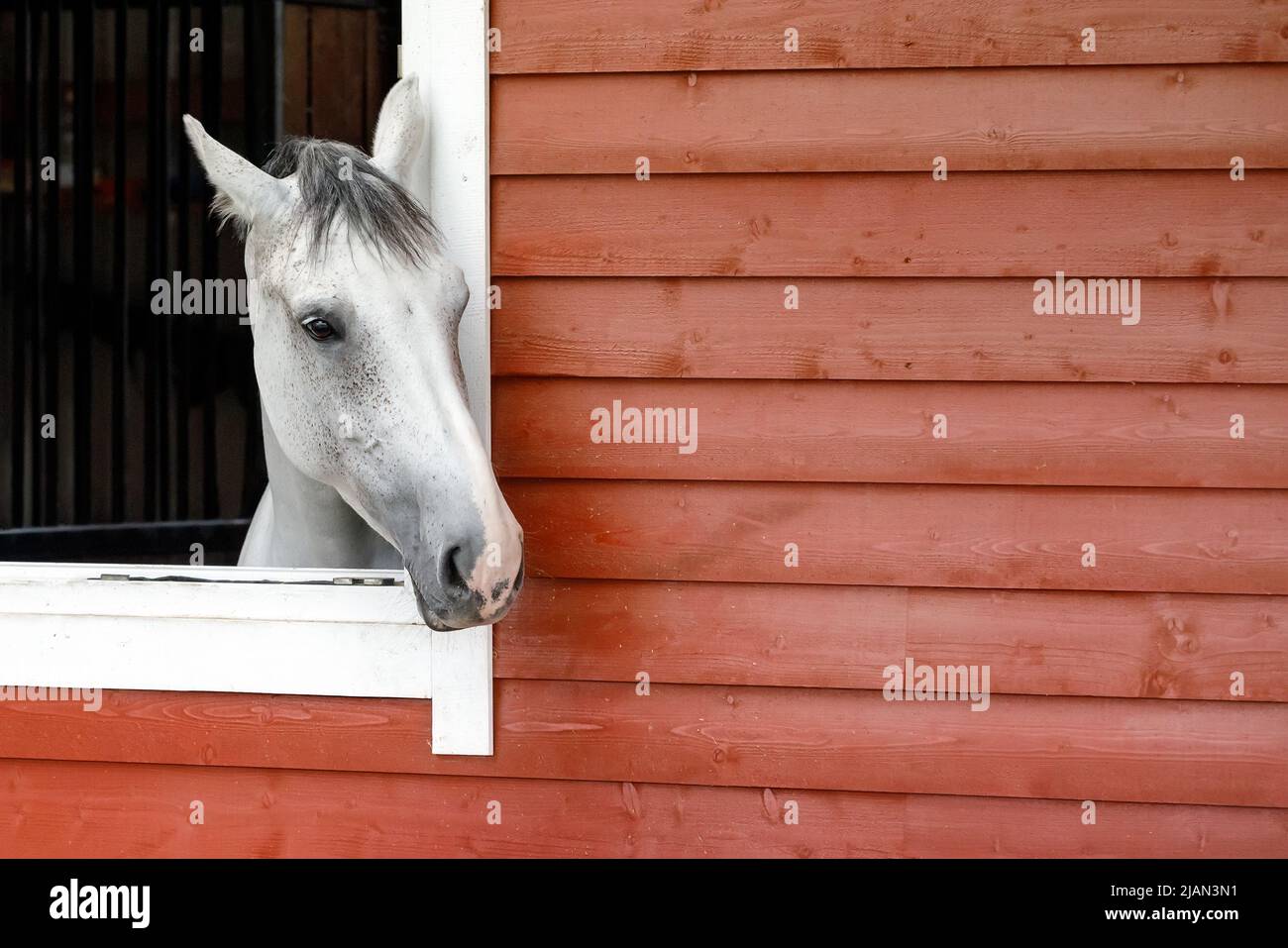 Horse Stables Exterior